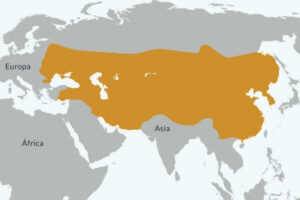Biografía de Gengis Kan | Hitos de logros de Gengis Kan