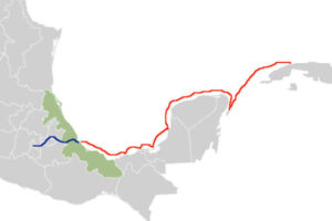 Biografía de Hernán Cortés | Hitos y logros de Hernán Cortés