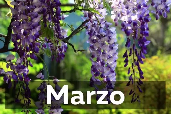 Tal día como hoy | Qué sucedió en un mes de Marzo