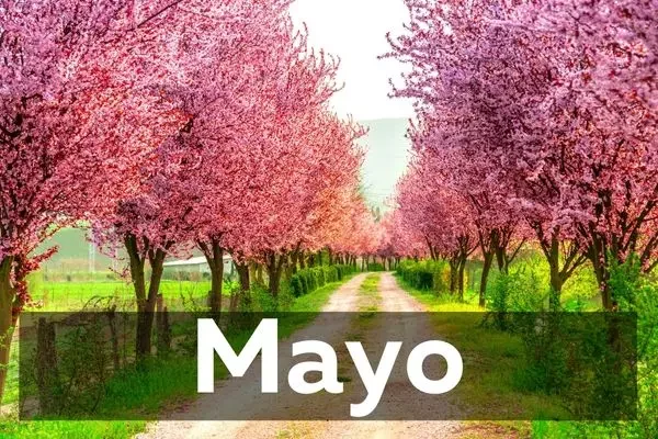 Tal día como hoy | Qué sucedió en un mes de Mayo