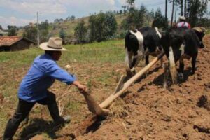 Origen del Arado - Inventor y Evolución | CurioSfera-Historia